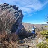 Massie Gap and Wilburn Ridge Loop, Virginia - 924 Reviews, Map | AllTrails
