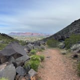 Temple Quarry Trail, Utah - 639 Reviews, Map | AllTrails