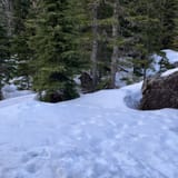 Heather Lake Trail, Washington - 5,749 Reviews, Map | AllTrails