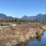 PoCo Traboulay Trail Loop, British Columbia, Canada - 1,219 Reviews ...