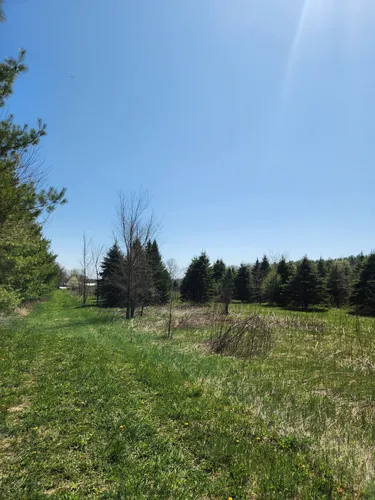 Best Trail Running Trails in Lowden-Miller State Forest | AllTrails