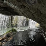 Franklin Ghost Town Trail, Washington - 1,428 Reviews, Map | AllTrails