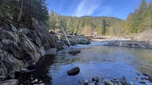 Best Hard Trails in Whistler Interpretive Forest | AllTrails