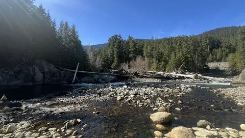 Best Hard Trails in Whistler Interpretive Forest | AllTrails