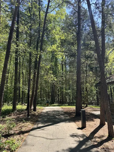 Best Bird Watching Trails in Latta Nature Preserve | AllTrails