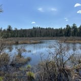 Pine Swamp Loop, New York - 1,220 Reviews, Map | AllTrails