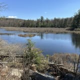 Pine Swamp Loop, New York - 1,220 Reviews, Map | AllTrails