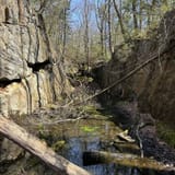 Pine Swamp Loop, New York - 1,220 Reviews, Map | AllTrails