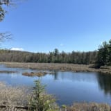 Pine Swamp Loop, New York - 1,220 Reviews, Map | AllTrails