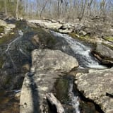 Pine Swamp Loop, New York - 1,220 Reviews, Map | AllTrails