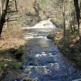 Hackers Falls and Cliff Trail Loop, Pennsylvania - 1,822 Reviews, Map ...