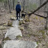 Benedict Pond Loop Trail, Massachusetts - 695 Reviews, Map | AllTrails