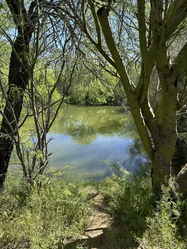 Best Hikes and Trails in Reach 11 Recreation Area | AllTrails