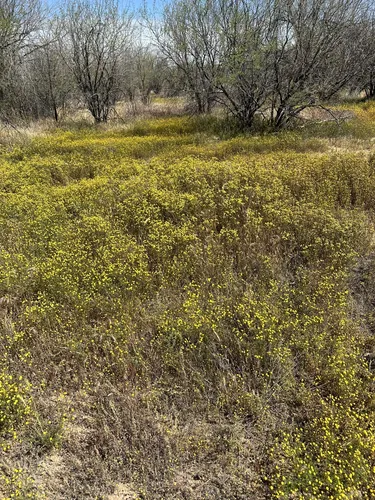 Best Hikes and Trails in Reach 11 Recreation Area | AllTrails