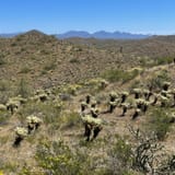 Dixie Summit Trail, Arizona - 1,534 Reviews, Map | AllTrails
