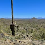 Dixie Summit Trail, Arizona - 1,534 Reviews, Map | AllTrails