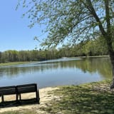 Dorey Park Trails, Virginia - 194 Reviews, Map | AllTrails