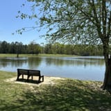 Dorey Park Trails, Virginia - 194 Reviews, Map | AllTrails