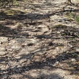 Sac River Trail, Missouri - 562 Reviews, Map | AllTrails