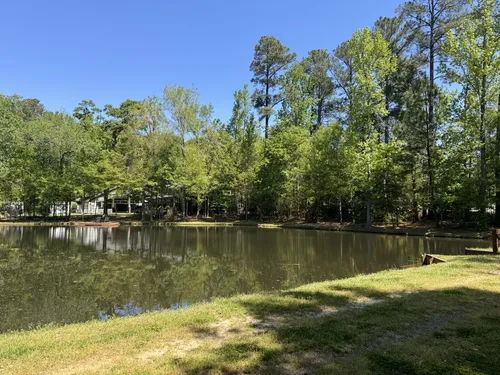 Best Kid Friendly Trails in Newberry | AllTrails