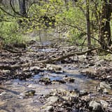 Sac River Trail, Missouri - 562 Reviews, Map | AllTrails