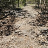 Sac River Trail, Missouri - 538 Reviews, Map | AllTrails