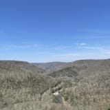 Canyon Vista Trail, Pennsylvania - 852 Reviews, Map | AllTrails