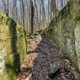 Canyon Vista Trail, Pennsylvania - 852 Reviews, Map | AllTrails