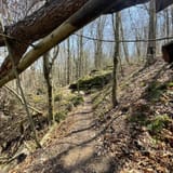 Canyon Vista Trail, Pennsylvania - 852 Reviews, Map | AllTrails