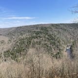 Canyon Vista Trail, Pennsylvania - 852 Reviews, Map | AllTrails