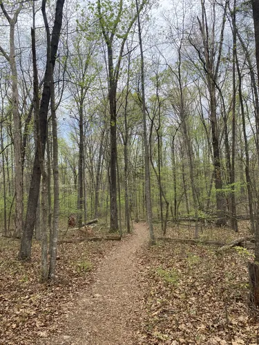 Best Hikes and Trails in Broad Run | AllTrails