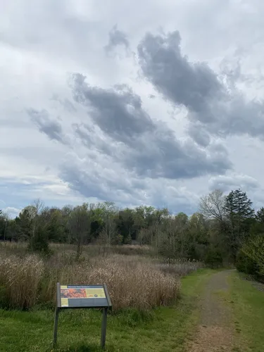 Best Hikes and Trails in Broad Run | AllTrails