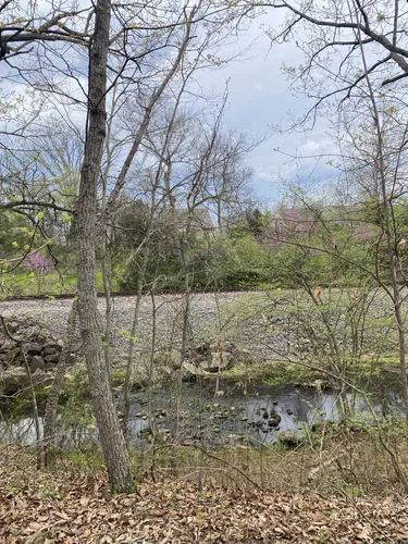 Best Hikes and Trails in Broad Run | AllTrails