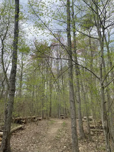 Best Hikes and Trails in Broad Run | AllTrails