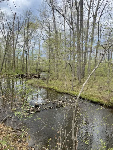 Best Hikes and Trails in Broad Run | AllTrails