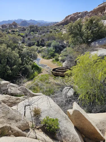 Best Lake Trails in Twentynine Palms | AllTrails