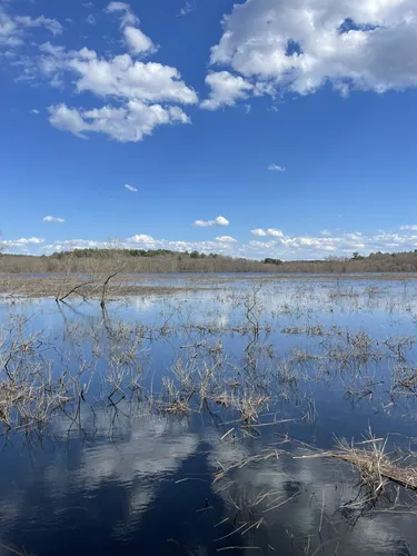 Best Walking Trails in Great Meadows National Wildlife Refuge | AllTrails