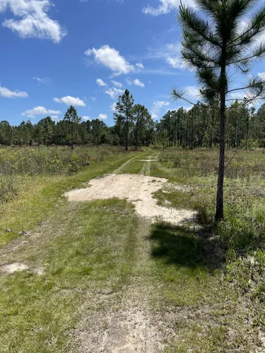 Best Bird Watching Trails in Foley | AllTrails