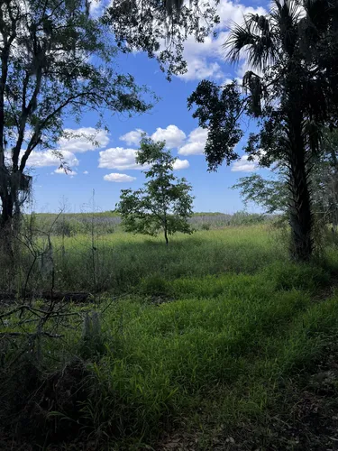 Best Hikes and Trails in Lake Jesup Conservation Area: East Lake Tract ...