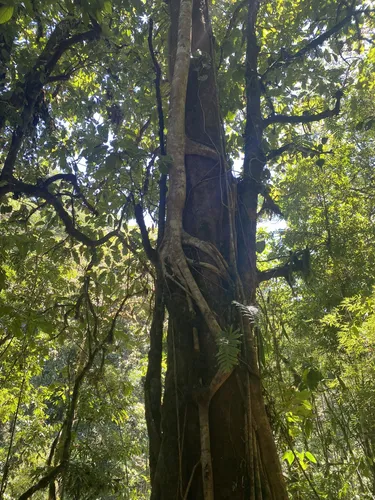 Best Camping Trails in Chirripo National Park | AllTrails