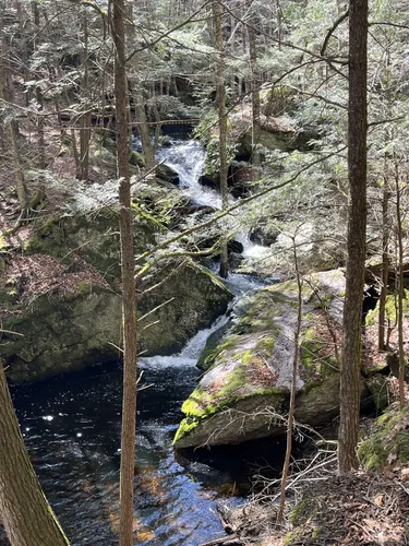 Pulpit Rock Conservation Area: de beste routes om te wandelen | AllTrails