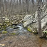 Ramapo Reservation Loop Trail, New Jersey - 1,695 Reviews, Map | AllTrails