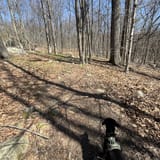 Ramapo Reservation Loop Trail, New Jersey - 1,695 Reviews, Map | AllTrails