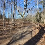 Hemlock Crossing Park, Michigan - 1,299 Reviews, Map | AllTrails