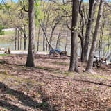 White Bison Loop, Missouri - 2,381 Reviews, Map | AllTrails