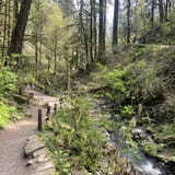 Lower Macleay Park to Pittock Mansion, Oregon - 4,252 Reviews, Map ...
