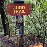 Judd Trail, Oahu, Hawaii - 2,557 Reviews, Map | AllTrails