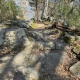 Fort Barton/Sin and Flesh Brook Trail, Rhode Island - 1,302 Reviews ...
