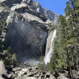 Sentinel Meadow Cook's Meadow Loop Trail, California - 3,107 Reviews ...