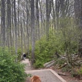 Discovery Park and Lighthouse Loop, Washington - 6,409 Reviews, Map ...